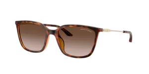 Armani Exchange Sunglasses - Brown Gradient
