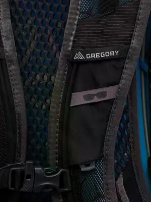 GREGORY 24 Citro Backpack
