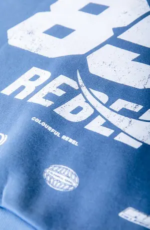 COLOURFUL REBEL Washed Zip Sweat