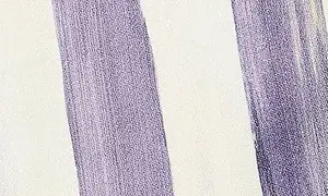 MACKENZIE-CHILDS Stripe Dish Towel