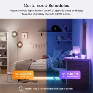 NANOLEAF Caveman Matter & Wi-fi A19 Smart Led Light Bulb