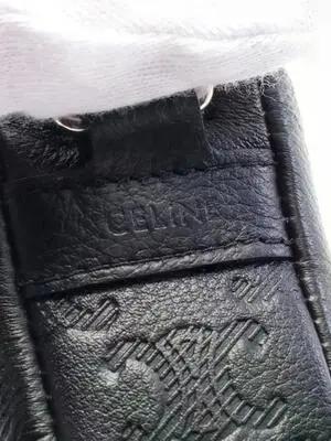 Celine 2010-2026 Mini Triomphe Camera Crossbody Bag