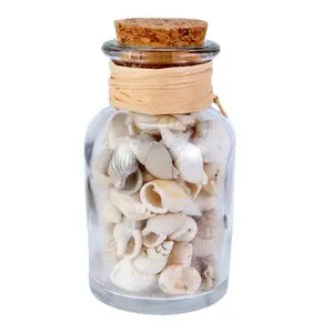 BEACHCOMBERS White Shells Decorative Cork Glass Bottle 3.13 - Brown