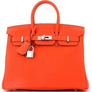 Hermès Birkin 25 Handbag - Feu