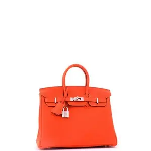 Hermès Birkin 25 Handbag - Feu