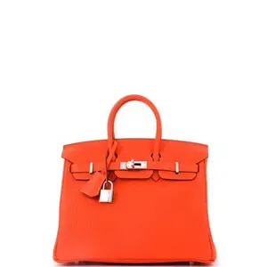 Hermès Birkin 25 Handbag - Feu