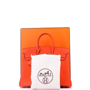Hermès Birkin 25 Handbag - Feu