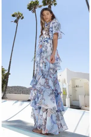 Hale Bob Carina Chiffon Maxi Dress - Blue
