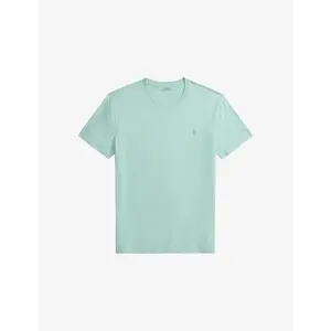 Polo Ralph Lauren Logo-embroidered Regular-fit Cotton-jersey T-shirt - Celadon/c7109