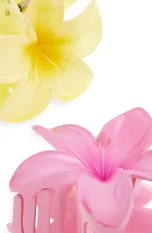 Bp. Assorted Plumeria Claw Clips 2 Pack - Multi
