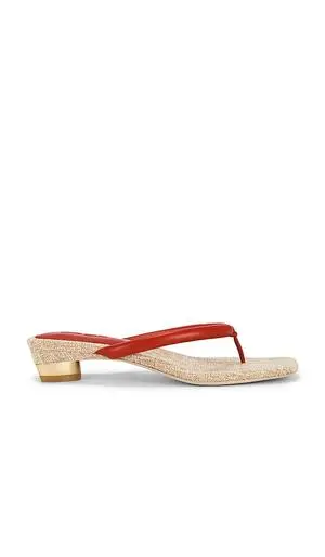 Cult Gaia Slides Sandals For Women