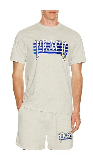 MUSEUM OF PEACE & QUIET Seventies T-shirt In Light Grey - Ash
