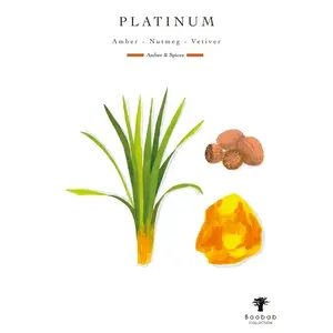 BAOBAB COLLECTION Max 08 Platinum Candle