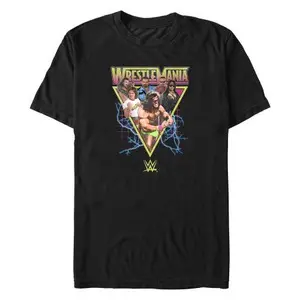 WWE Retro Wrestlers Triangle Graphic T-shirt