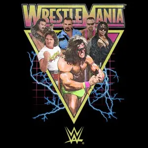 WWE Retro Wrestlers Triangle Graphic T-shirt