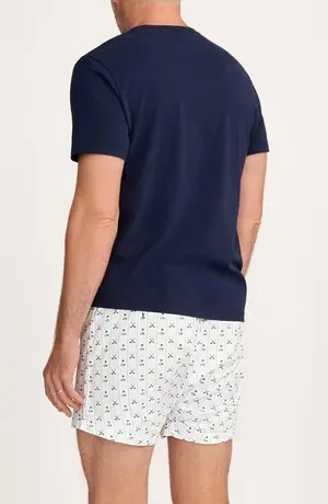 PETITE PLUME Assorted 3-pack Cotton Twill Boxers