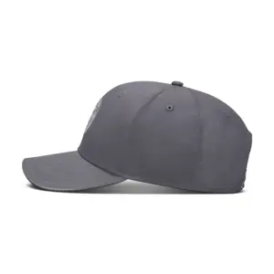 JORDAN Paris Saint-germaine Rise Structured Cap - Grey