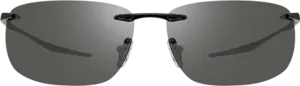 REVO PERFORMANCE Descend Z Sunglasses
