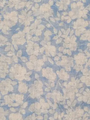 Gerard Darel Dalia Floral Print Scarf
