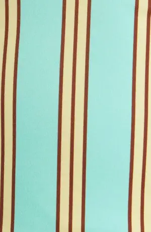 DAMSON MADDER Trudi Stripe Crop Tankini Top