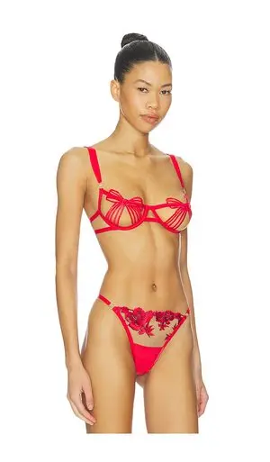 Bluebella Annabel Wired Bra - Red