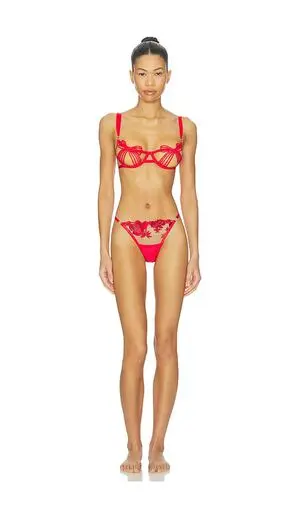 Bluebella Annabel Wired Bra - Red