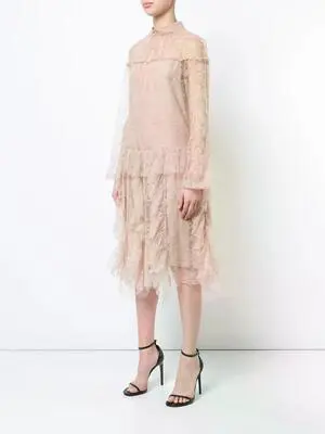 Rochas Lace Sheer Dress