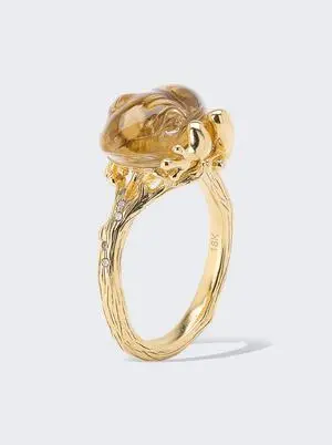 BIBI VAN DER VELDEN Frog Tiger Eye Stacked Ring - Yg