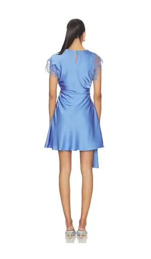 AMUR Zina Ruched Mini Dress - Blue