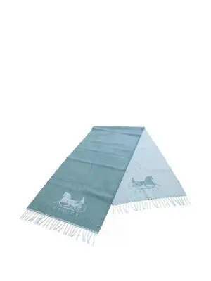 Celine 1910s Salkey Scarf - Blue