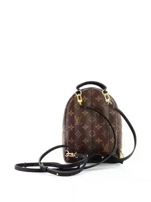 LOUIS VUITTON Palm Springs Monogram Canvas Mini Backpack - Brown