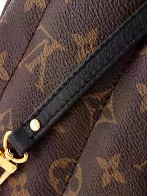 LOUIS VUITTON Palm Springs Mini Backpack Monogram Canvas