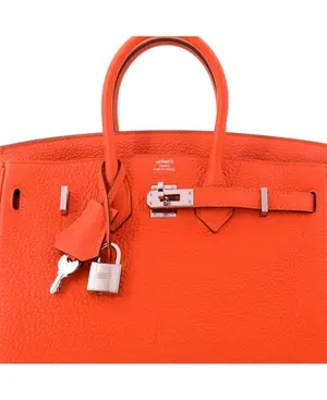 Hermès Birkin 25 Handbag - Feu