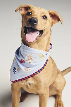 Polyester Pet Accessories