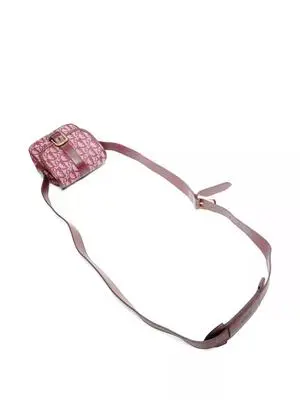 Dior 2013 Trotter Shoulder Bag