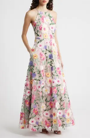 Eliza J Embroidered Sleeveless Gown - Blush Multi
