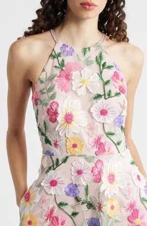 Eliza J Embroidered Sleeveless Gown - Blush Multi