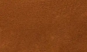 Staud Maude Mini Tote