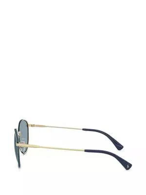 POLO RALPH LAUREN EYEWEAR Polo Ralph Lauren Ph3163 Sunglasses