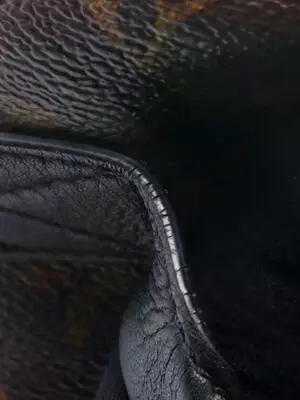 LOUIS VUITTON 2019 Monogram Palm Springs Pm Backpack