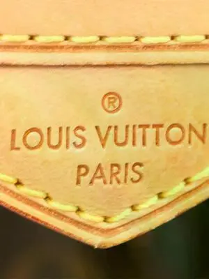 LOUIS VUITTON 2010 Monogram Boetie Pm Handbag