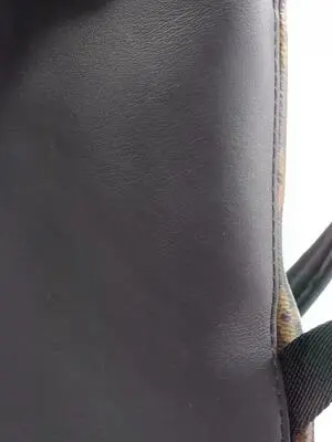 LOUIS VUITTON 2021-2026 Monogram Macassar Discovery Pm Backpack - Brown
