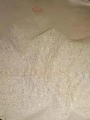 Gucci Gg Canvas Miss Gg Tote
