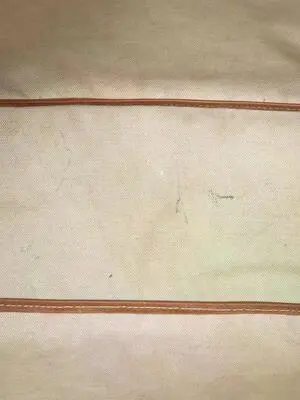 Goyard 2013 Saint Louis Pm Tote Bag
