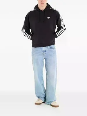 Adidas Adicolor Classics Trefoil Hoodie