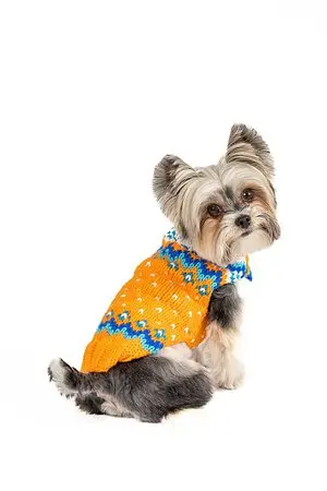 CHILLY DOG Artic Amber Fair Isle Dog Sweater