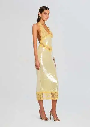 Retrofete Sequin Lace Midi Dress