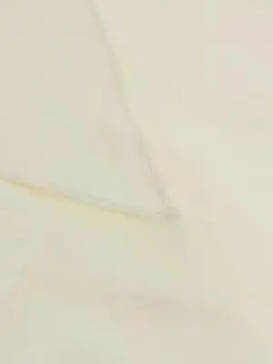 Alberta Ferretti Twill-weave Scarf - Neutrals