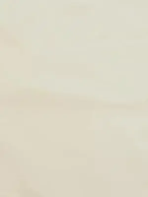 Alberta Ferretti Twill-weave Scarf - Neutrals