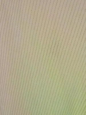 PAOLO RAGAZZINI Ribbed-knit T-shirt